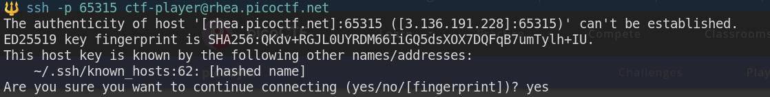 Verify Writeup Pico Ctf Challenge Solved Forensics