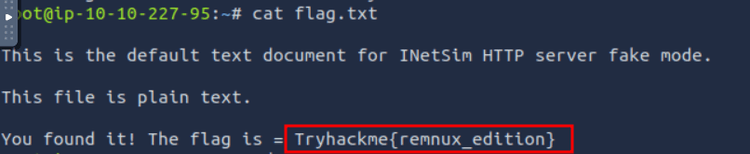 REMnux: Getting Started | TryHackMe writeup / walkthrough