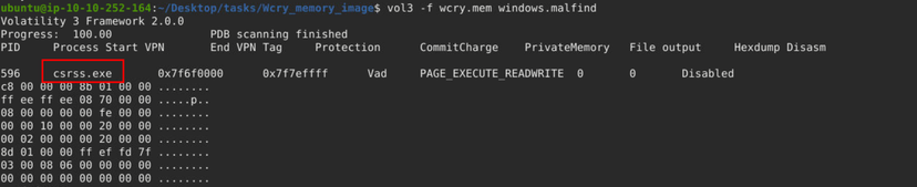 REMnux: Getting Started | TryHackMe writeup / walkthrough