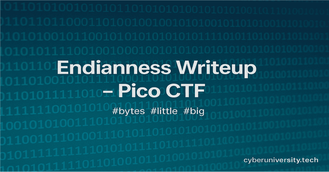 Endianness Writeup - Pico CTF Challenge Solved
