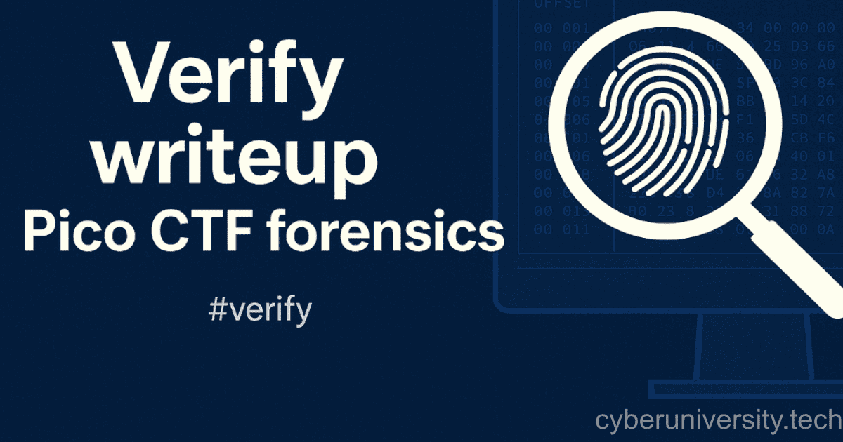 Verify Writeup Pico Ctf Challenge Solved Forensics