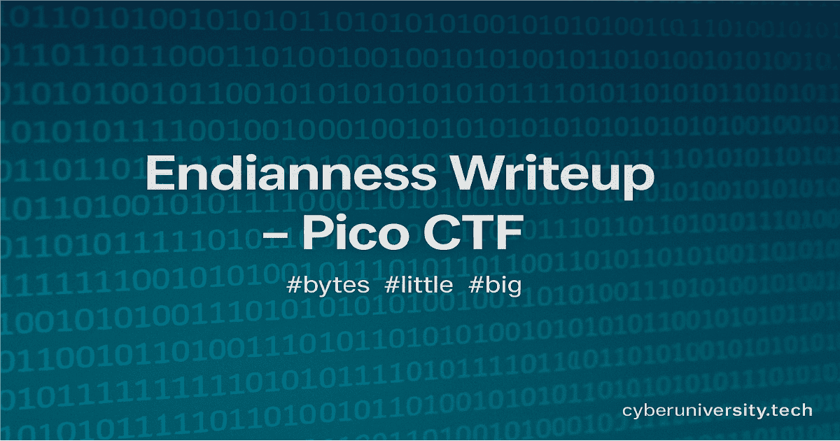 Endianness Writeup - Pico CTF Challenge Solved