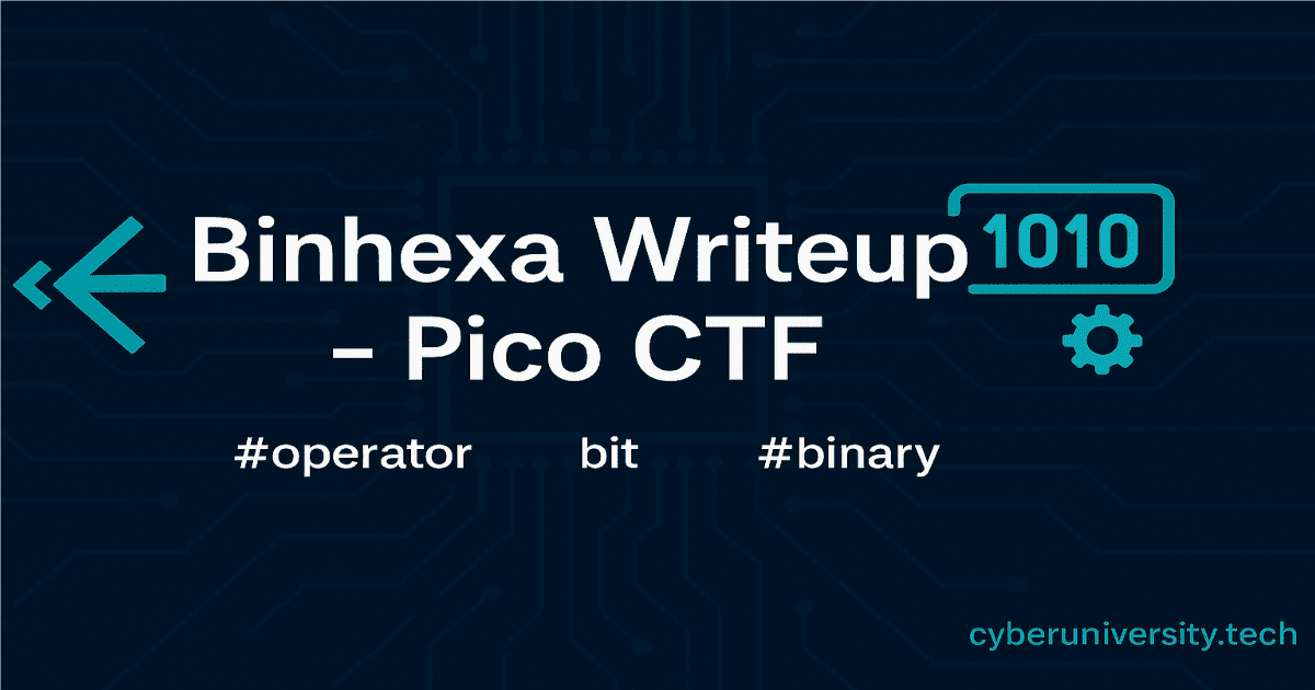 Binhexa Writeup - Pico CTF Challenge Solved