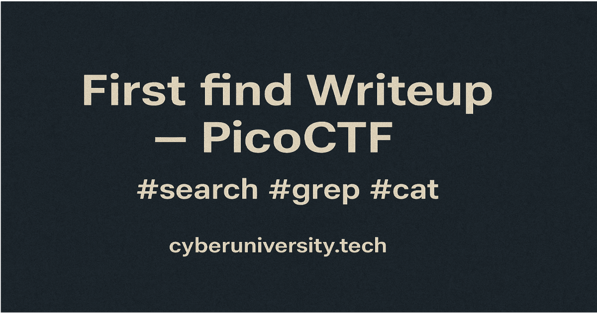 First find Writeup - Pico CTF Challenge Solved