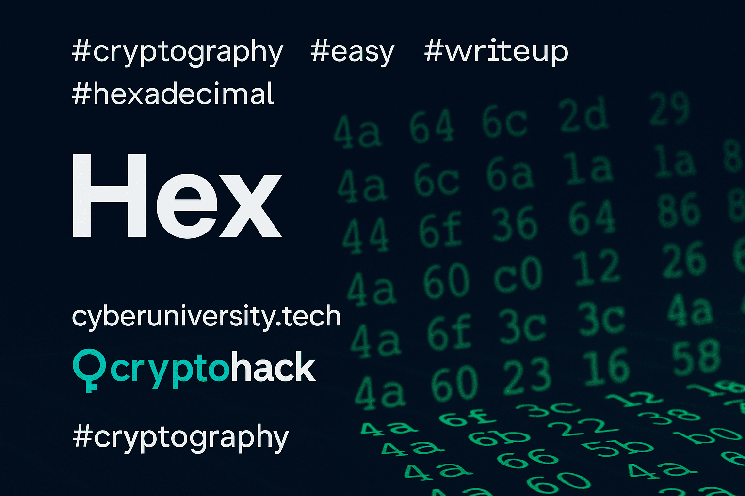 CryptoHack 'Hex' Challenge | Step-by-Step Solution
